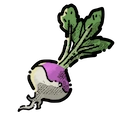 Turnip (Camp Spirit) | Cozy Grove Wiki | Fandom