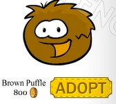 Brown Puffle-Proved True | Club Penguin Rumors Wiki | Fandom