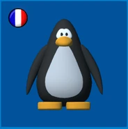 France Flag | CP3D Official Wiki | Fandom