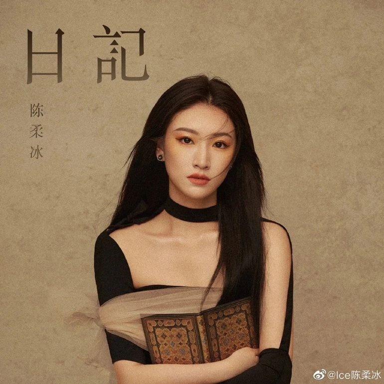 Diary | Cpop Wiki | Fandom