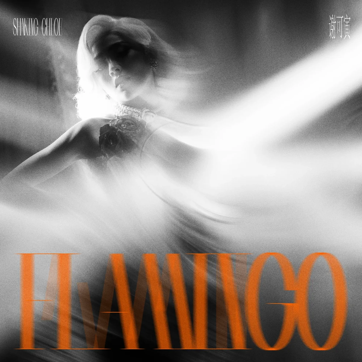 Flamingo | Cpop Wiki | Fandom