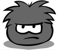 Black Puffle | CPRG Wiki | Fandom
