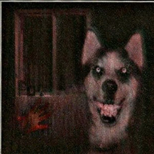 Smile Dog | The Creepypasta Universe Wiki | Fandom