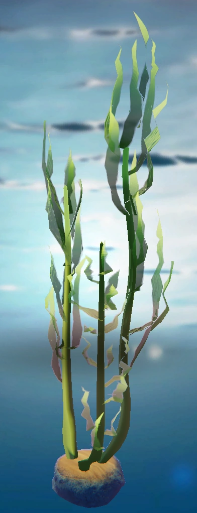 Giant Kelp | Crab God Wiki | Fandom