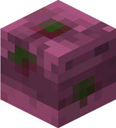Zombie Heart | CraftersMC SkyBlock Wiki | Fandom