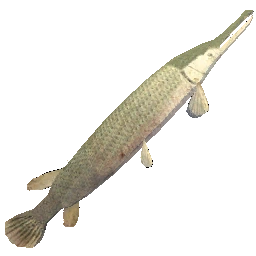 Gar | Craftopia Wiki | Fandom