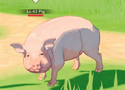 Pig | Craftopia Wiki | Fandom