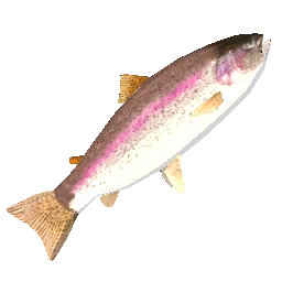 Rainbow Trout | Craftopia Wiki | Fandom