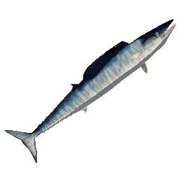 Wahoo | Craftopia Wiki | Fandom