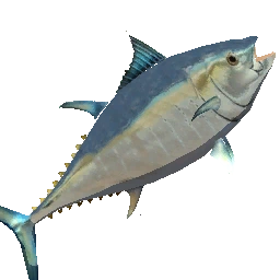 Tuna | Craftopia Wiki | Fandom