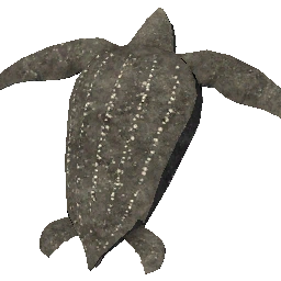 Leatherback Turtle | Craftopia Wiki | Fandom