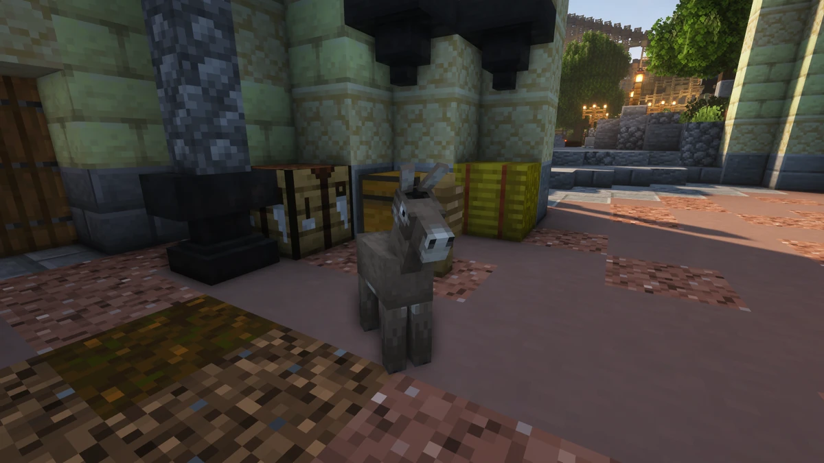 Petting the donkey | Craftventure Wiki | Fandom