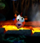 Bandifish | Bandipedia | Fandom