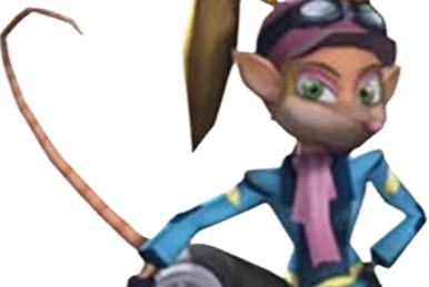 Crash Tag Team Racing Characters