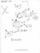 Wumpa Islands | Bandipedia | Fandom