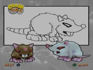 Rat | Bandipedia | Fandom