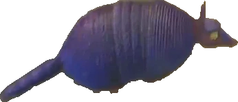 Armadillo | Bandipedia | Fandom