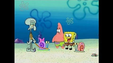 Dancing the Hula | Bandifanon | Fandom