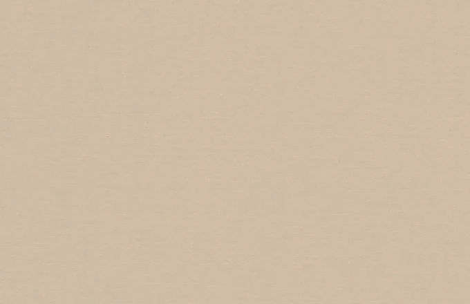 Beige | Crayola Superhero Universe Wikia | Fandom