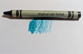 Tropical Rain Forest | Crayola Wiki | Fandom
