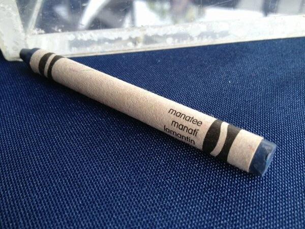 Manatee | Crayola Wiki | Fandom