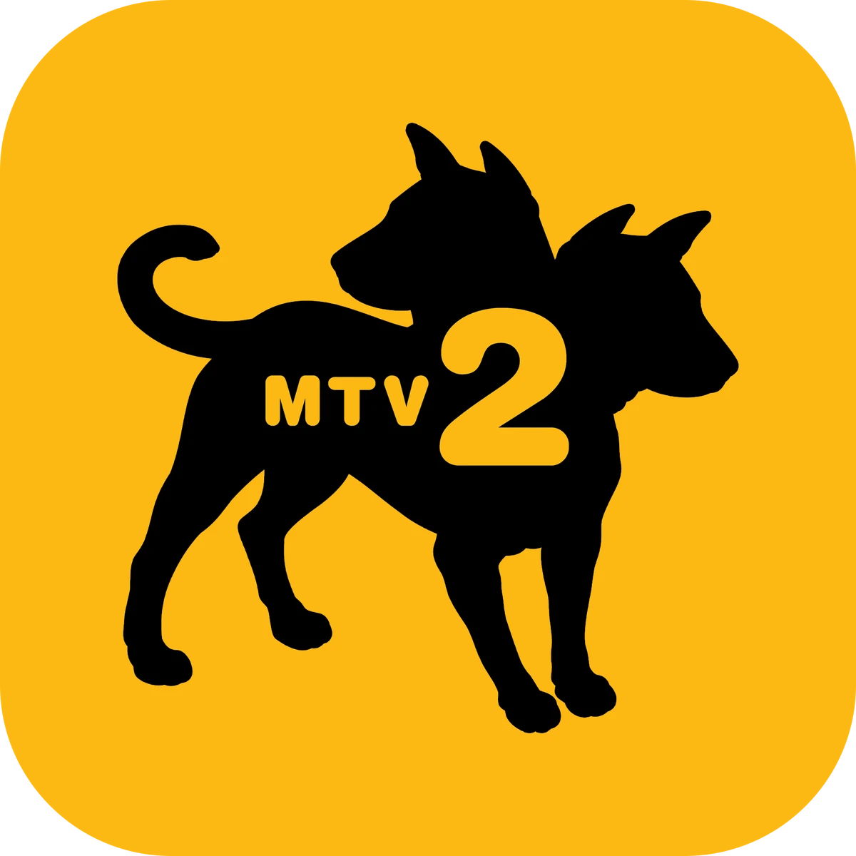 MTV2 (United States) | Crayon's Ideas Wiki | Fandom