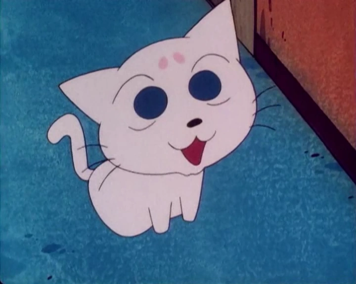 Marilin (cat) | Crayon Shin-chan Wiki | Fandom