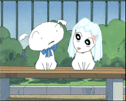 Shiro | Crayon Shin-chan Wiki | Fandom