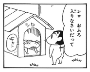 Shiro | Crayon Shin-chan Wiki | Fandom