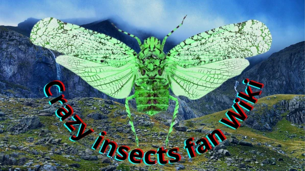 Crazy insects fan Wiki | Fandom