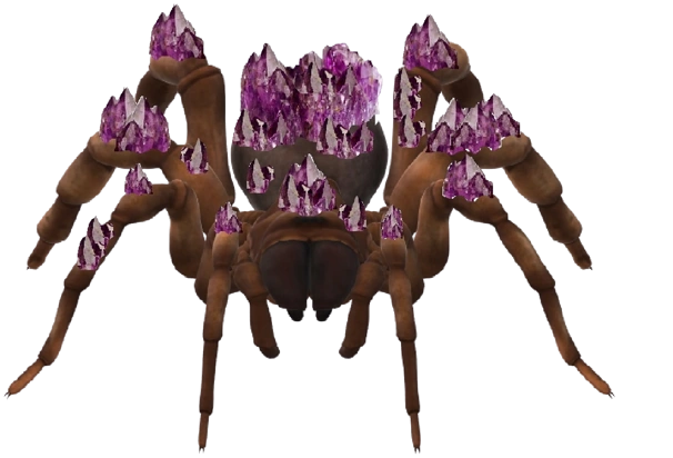 Amethyst spider | Crazy insects fan Wiki | Fandom
