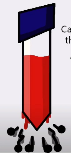 Entity | Crazycasey Wiki | Fandom