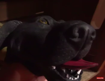 Black Dog | CrazyMarioBros Wiki | Fandom