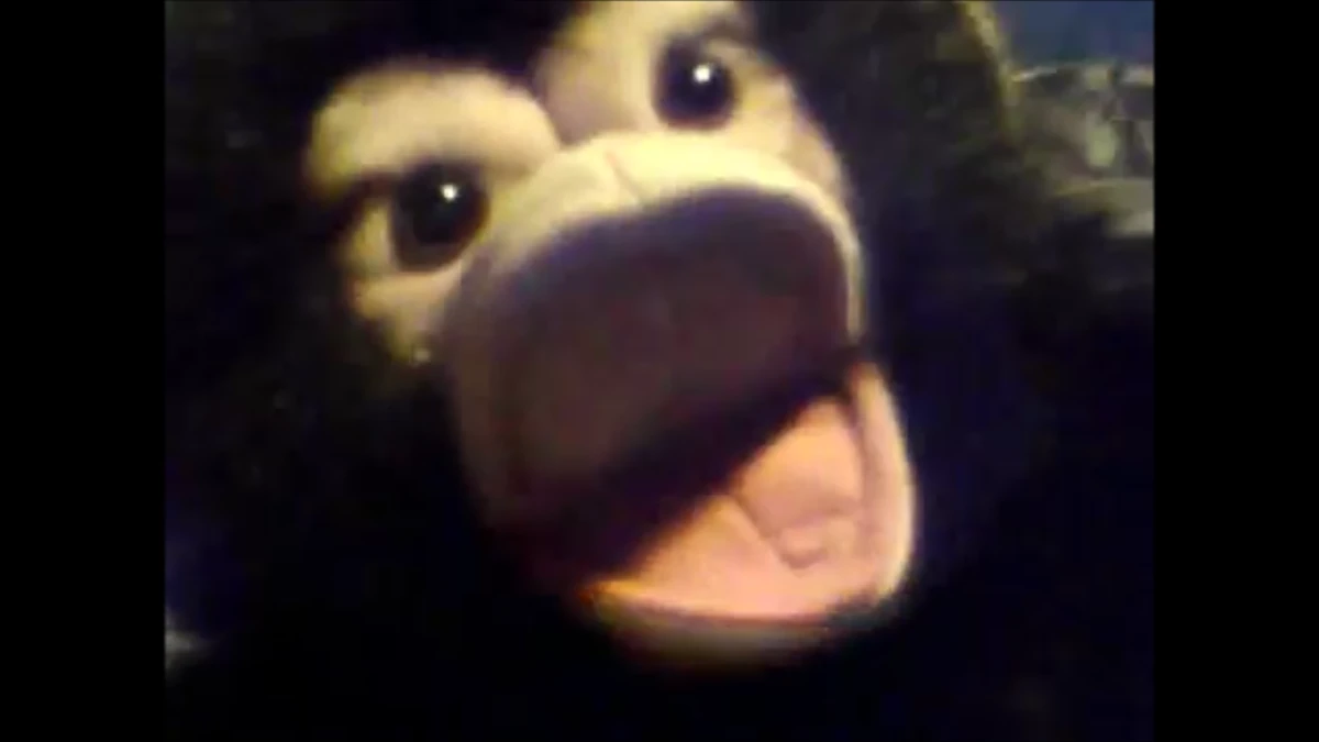 Monkey | CRAZY Productions Wikia | Fandom