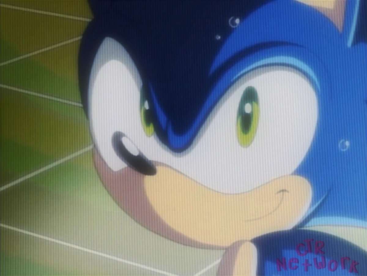 Sonic The Hedgehog/Gallery | CTRProductions505 | Fandom