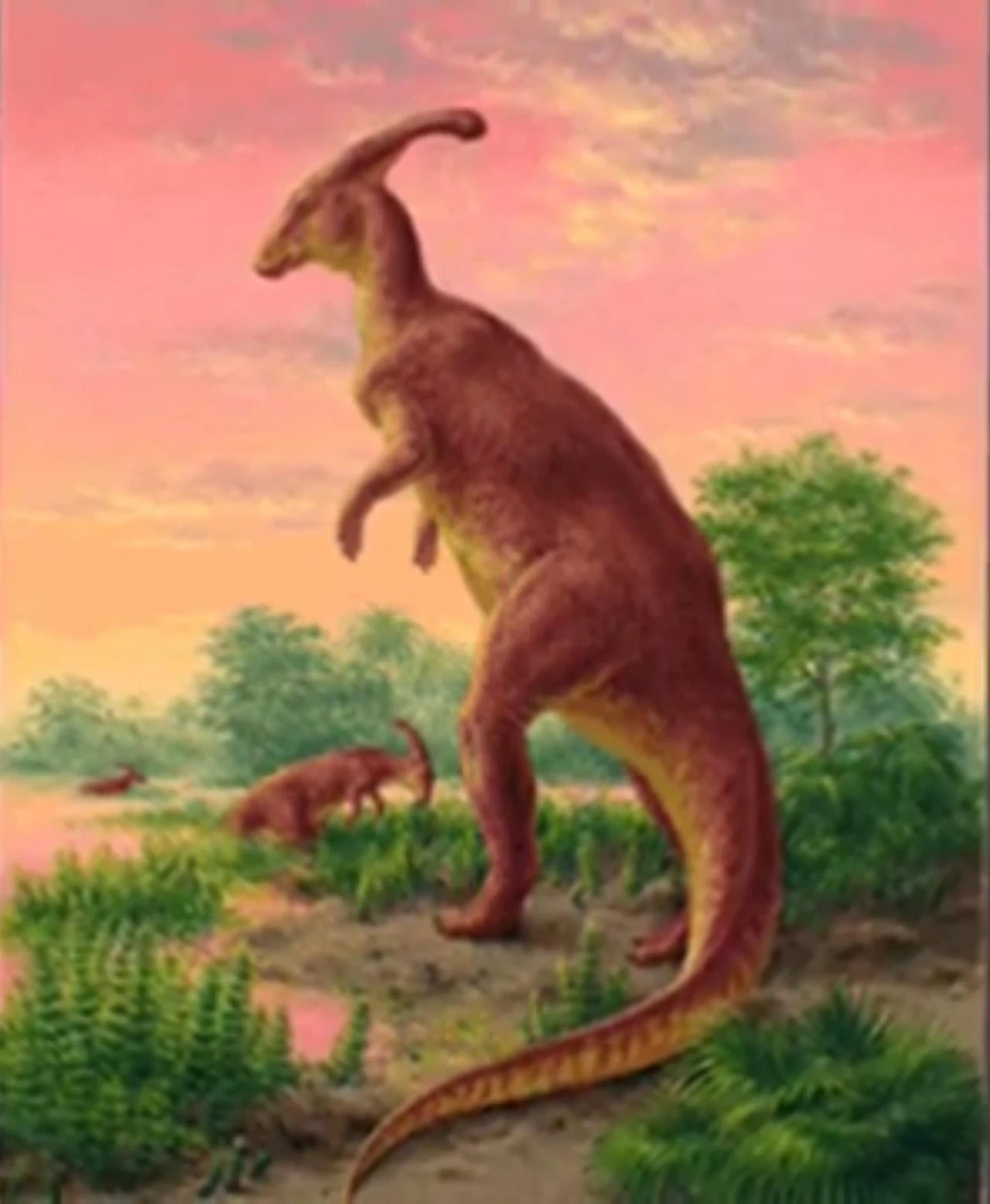 Monzéké-libatá | Create-A-Cryptid Wiki | Fandom