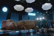 Saskatchewan | Create-A-Cryptid Wiki | Fandom
