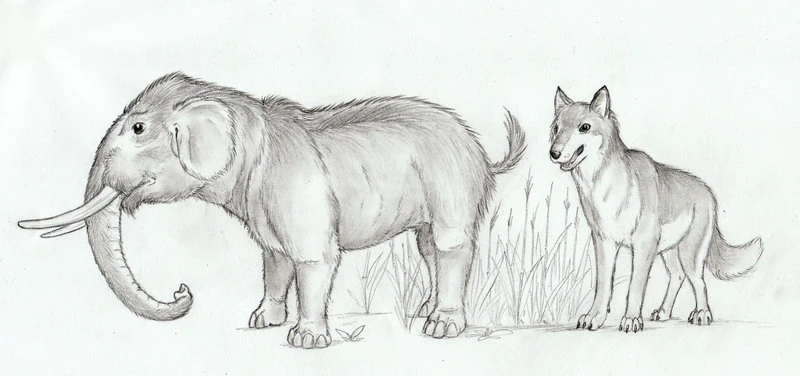 Dwarf Elephants | Create-A-Cryptid Wiki | Fandom