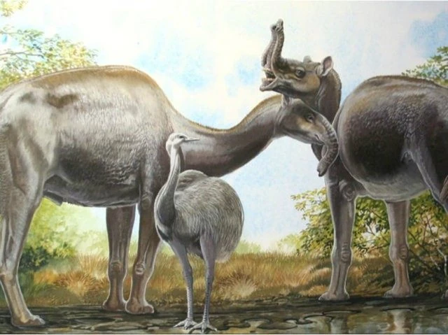 Hippotapirus | Create-A-Cryptid Wiki | Fandom