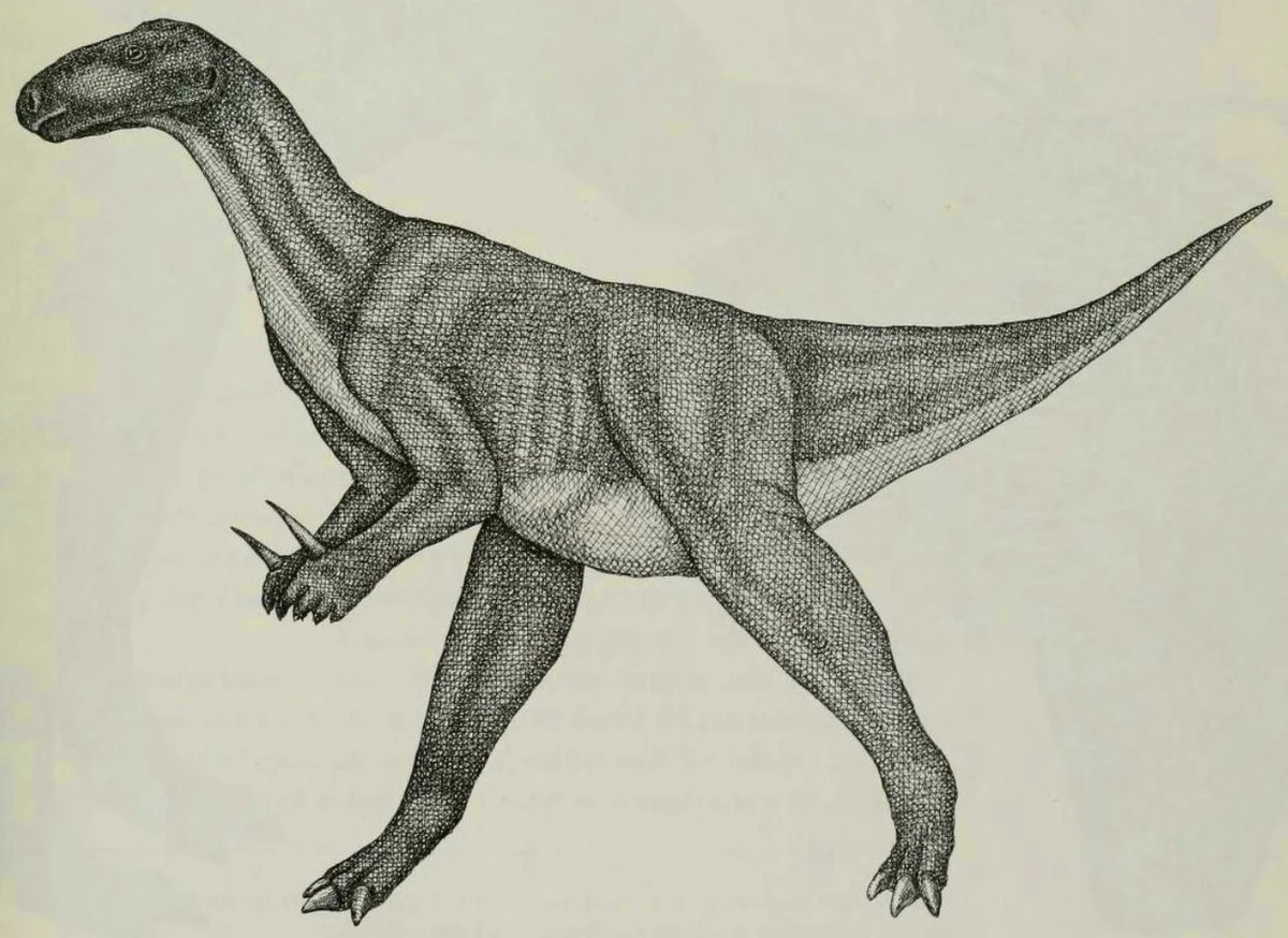 Tiktaki | Create-A-Cryptid Wiki | Fandom