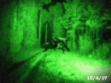 Saskatchewan | Create-A-Cryptid Wiki | Fandom