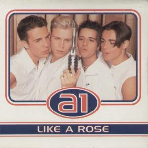Like a Rose | Creative article Wiki | Fandom
