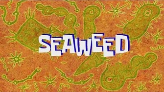 Seaweed | Creativeness Wiki | Fandom