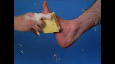 Good Bye Samba (a) | Creativeness Wiki | Fandom