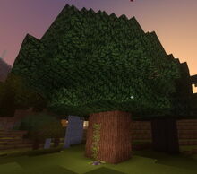 Sapling | Creativerse Wiki | Fandom