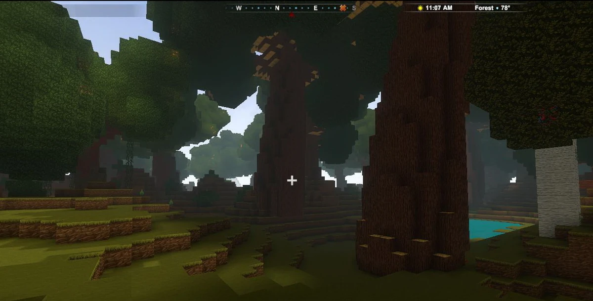 Forest | Creativerse Wiki | Fandom