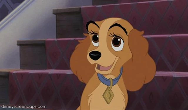 Annette, Danielle and Collette/Gallery | Creative Thoughts Wiki | Fandom