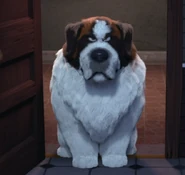 Grunt | Creative Thoughts Wiki | Fandom