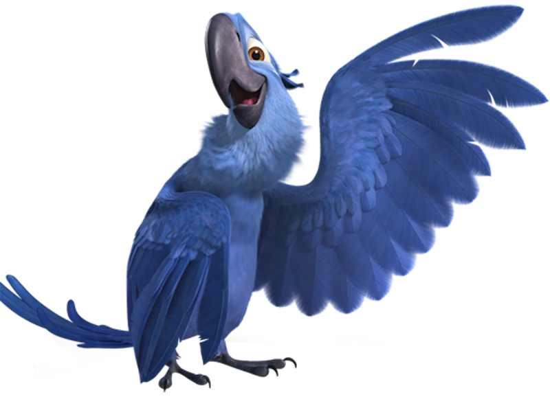 Blue Macaw Rio 2