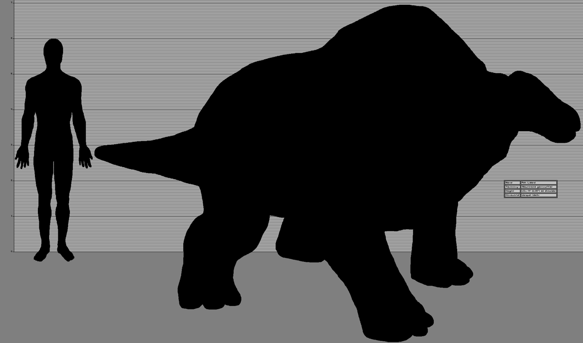 Somarinoa's Non-Sapient Gallery | Creativity Wiki | Fandom